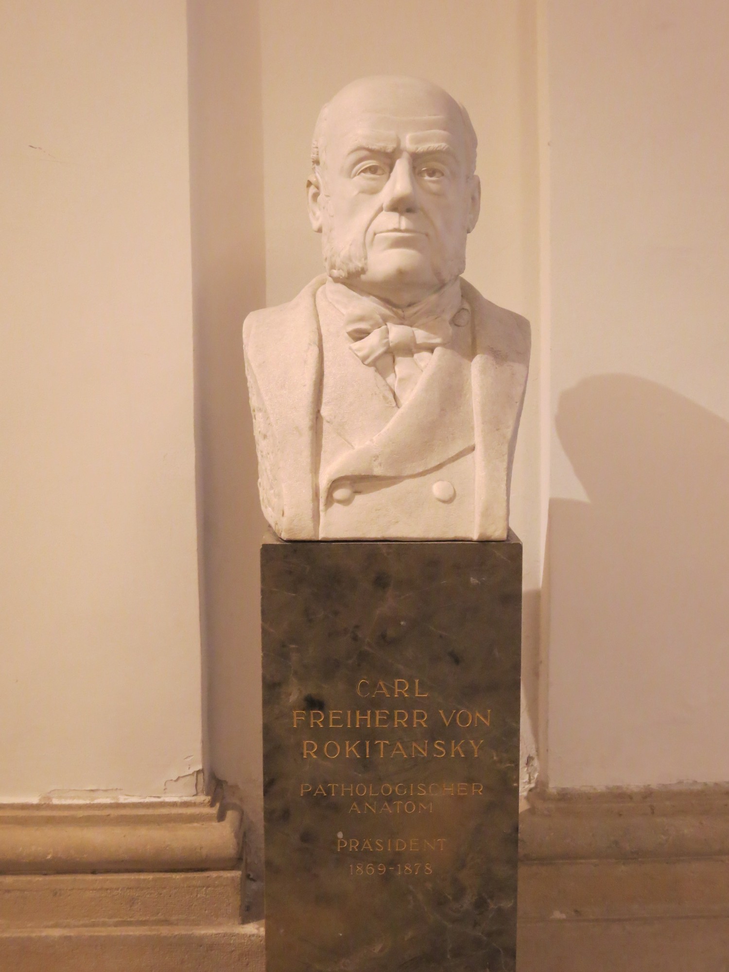 Carl Fhr von Rokitansky | 1. Bezirk, Denkmäler, Gedenktafeln ...