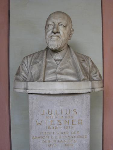 Julius Ritter von Wiesner | 1. Bezirk, Denkmäler, Gedenktafeln, Gedenkbüsten | Bilder im Austria ...