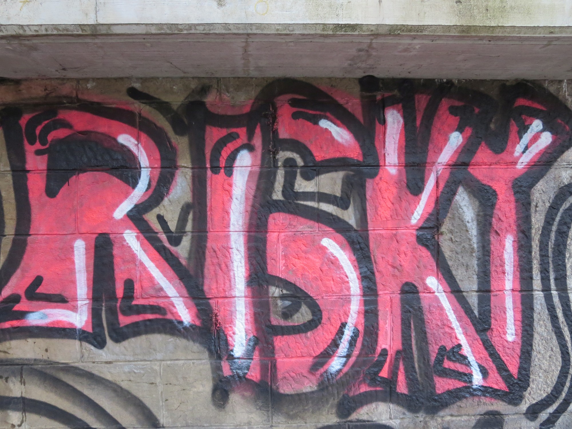Graffito 'Risky' (1) | 13. Bezirk | Bilder aus Wien | Bilder im Austria ...