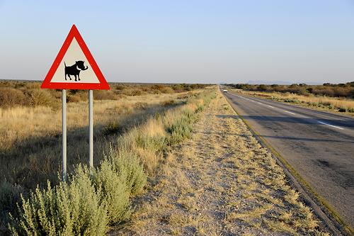 Drive to Tsumeb | Windhoek | Pictures | Geography im Austria-Forum