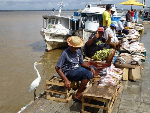 Belem (3) | Amazon River | Pictures | Geography im Austria-Forum