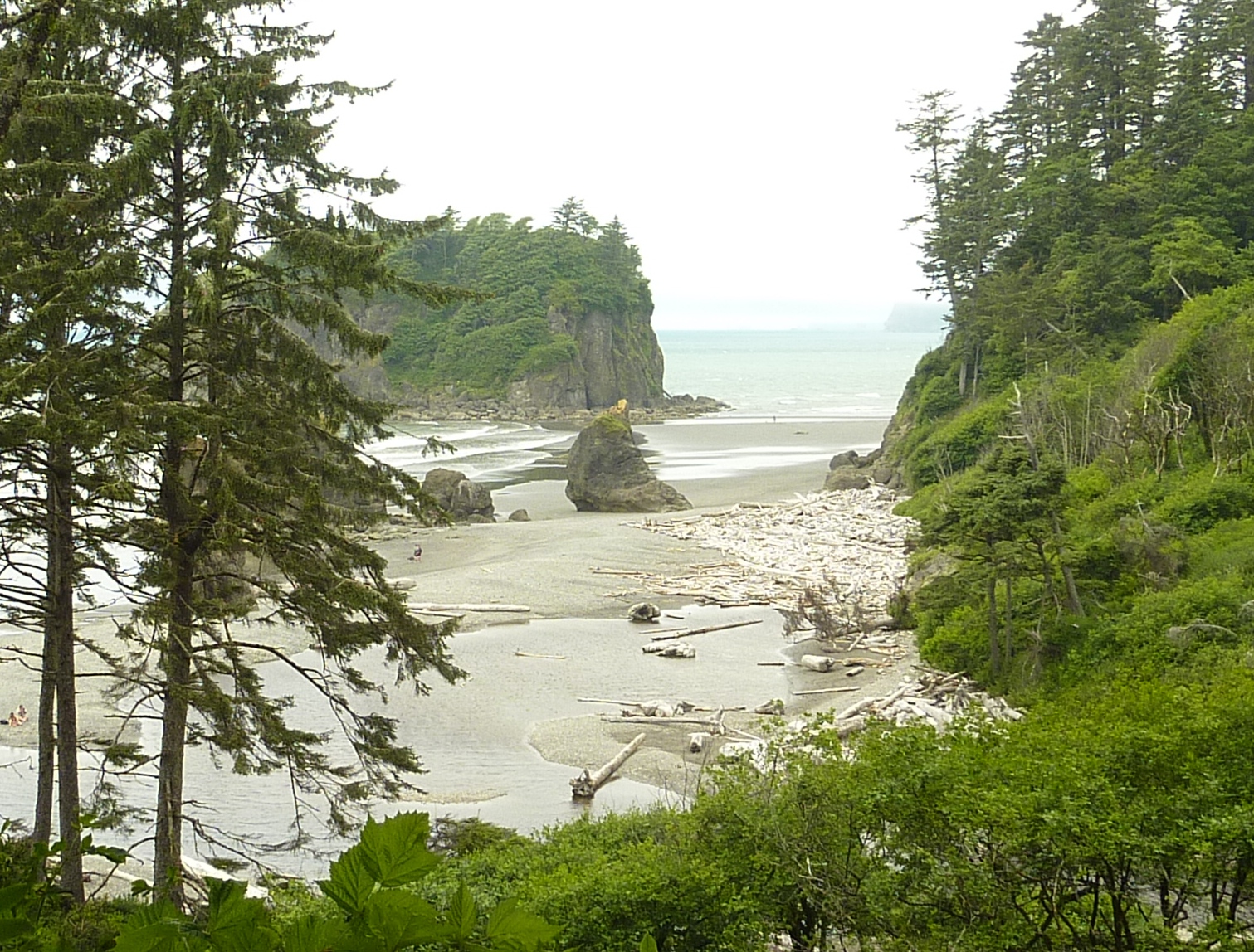 Olympic Peninsula 1 | Washington (State) | Pictures | Geography im ...