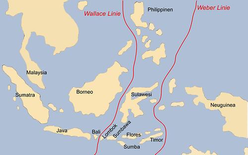 Wallace Lines | Part 1 | Pictures | Geography im Austria-Forum