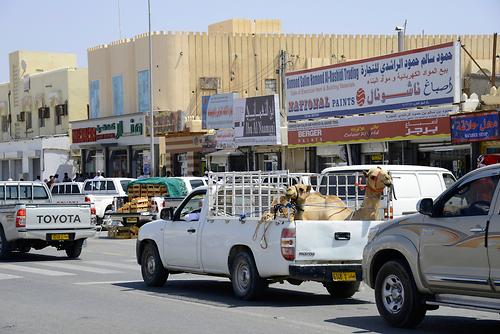 Sinaw - Thursday Market (1) | Sur | Pictures | Geography im Austria-Forum