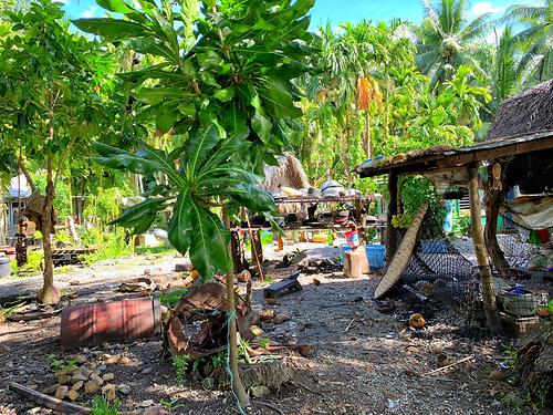 Lamotrek Atoll (10) | Ngulu Atoll, Lamotrek Atoll and Ulul | Geography ...