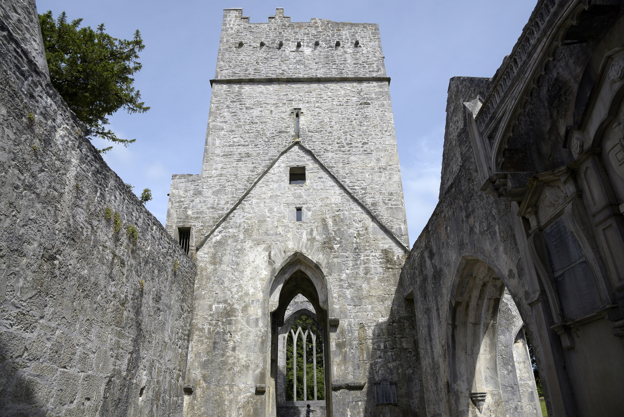 Killarney National Park - Muckross Abbey (4) | South-West | Geography ...