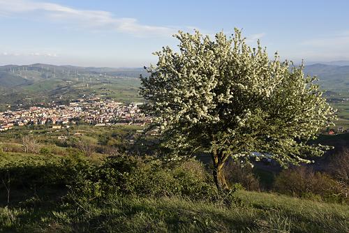 Rionero in Vulture | Monte Vulture | Pictures | Geography im Austria-Forum