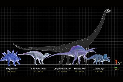 Dinosaur Size Comparison | Camino de Santiago | Geography im Austria-Forum