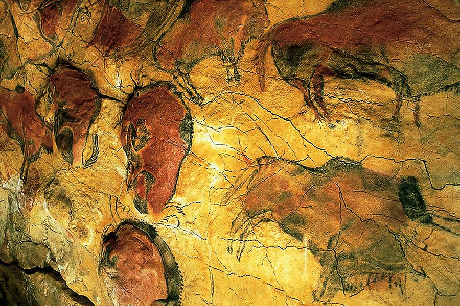 Altamira Cave Painting 1 Picos De Europa Geography Im Austria Forum