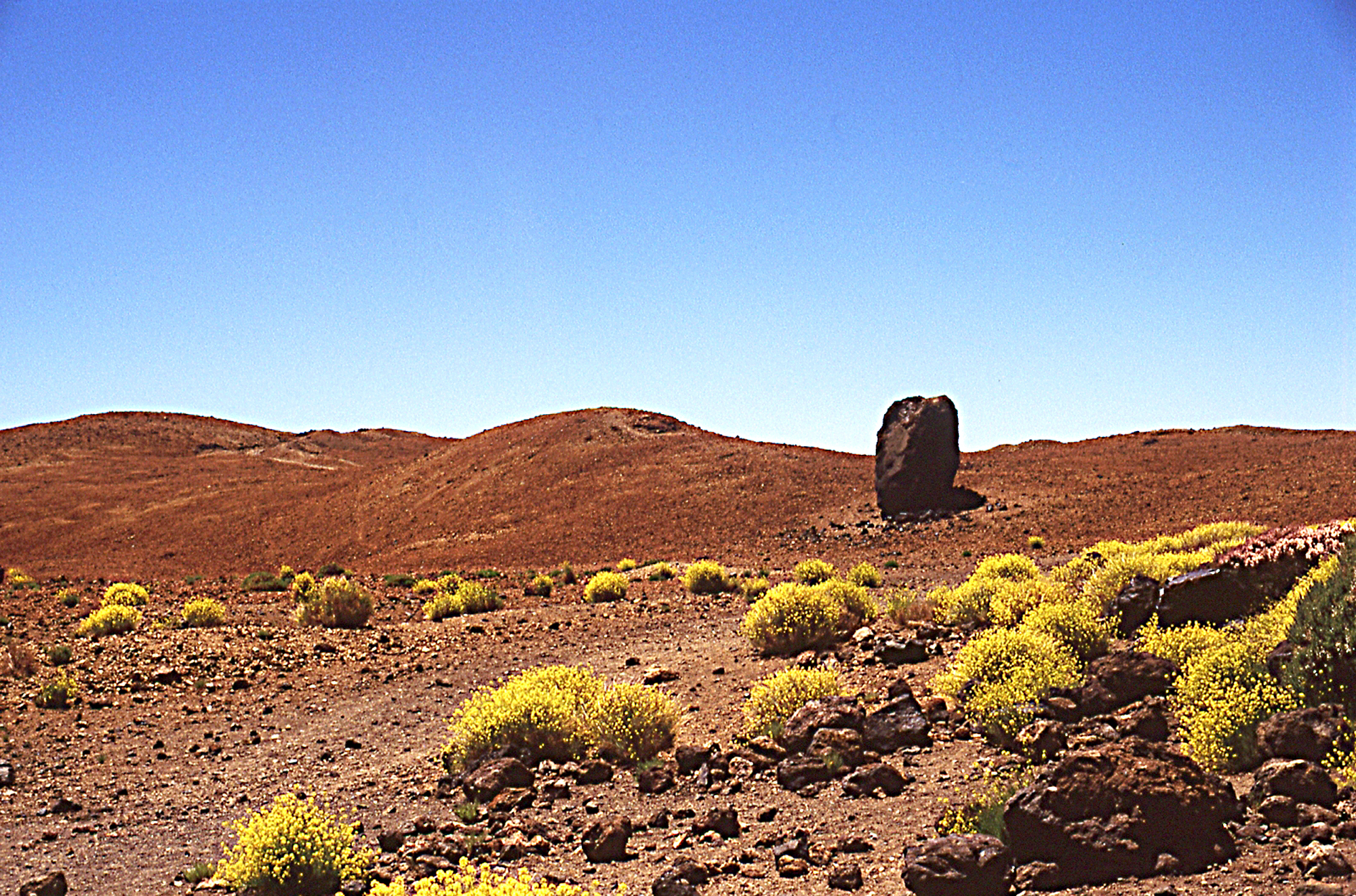 Obsidian Rock | Tenerife | Pictures | Geography im Austria-Forum