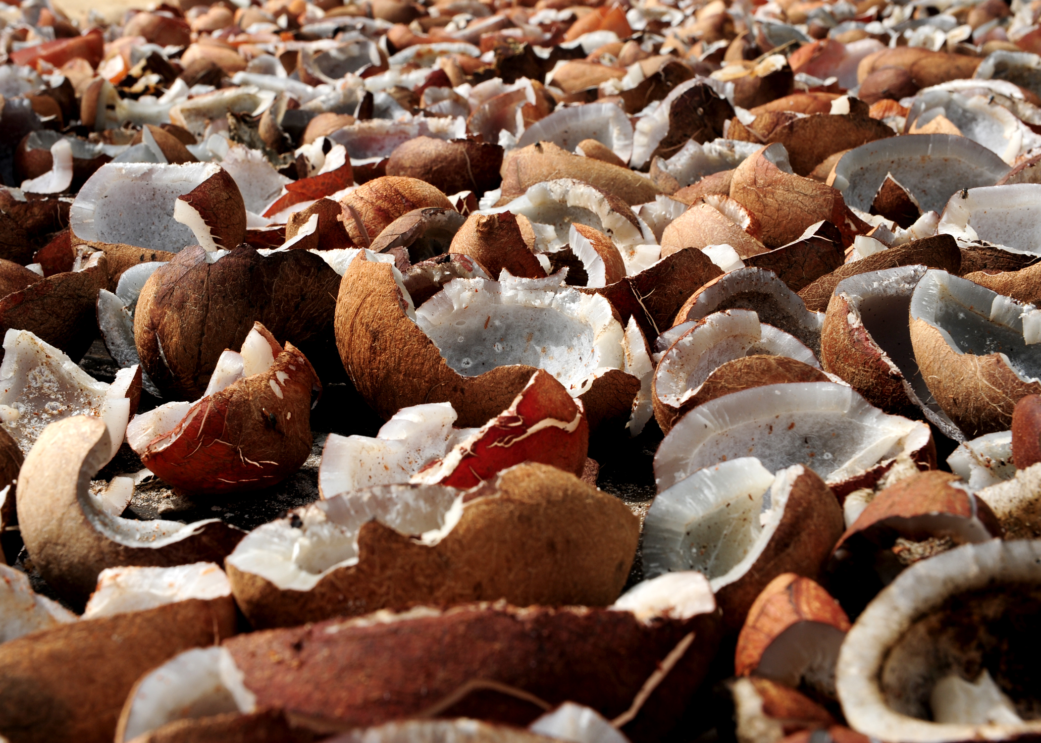 Makemo | French Polynesia - Overview | Special Information | Geography ...