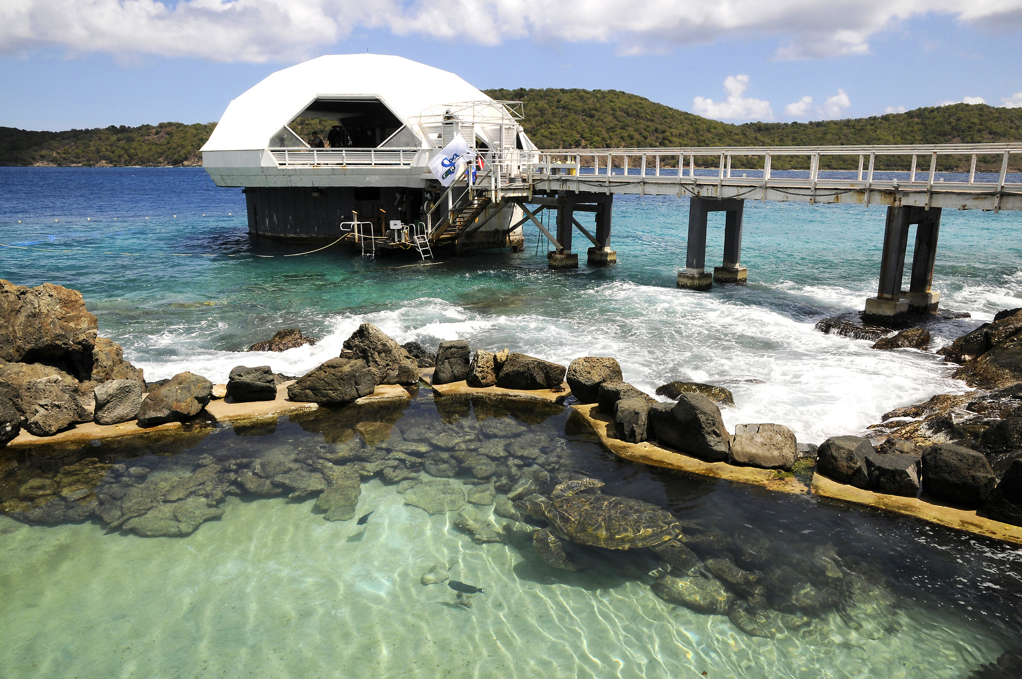 Coral World Ocean Park (1) | St. Thomas (Virgin Islands) | Geography im ...