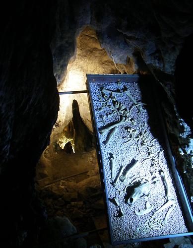 Allander Tropfsteinhöhle | Heimatlexikon | Kunst und Kultur im Austria ...