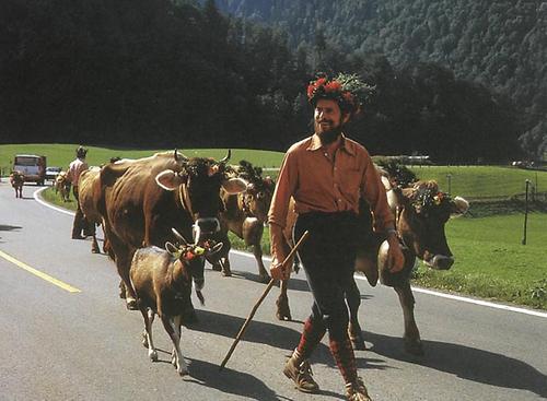 Almauftrieb | Heimatlexikon | Kunst und Kultur im Austria-Forum