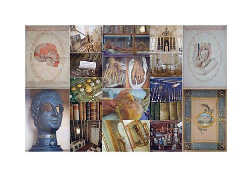 Josephinum | Heimatlexikon | Kunst und Kultur im Austria-Forum