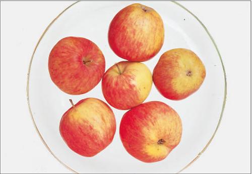 Mantet | Heimatlexikon | Kunst und Kultur im Austria-Forum