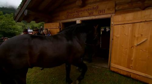 Noriker | Heimatlexikon | Kunst und Kultur im Austria-Forum