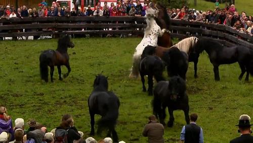 Noriker | Heimatlexikon | Kunst und Kultur im Austria-Forum