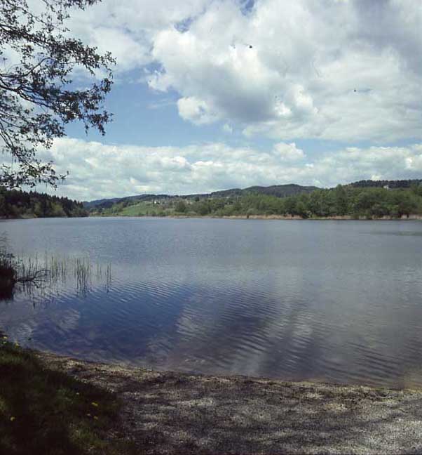 Rauschelesee (16) | Kärnten | Eine Auswahl aus den schönsten Seen ...