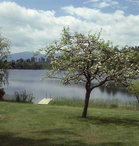Rauschelesee (16) | Kärnten | Eine Auswahl aus den schönsten Seen ...