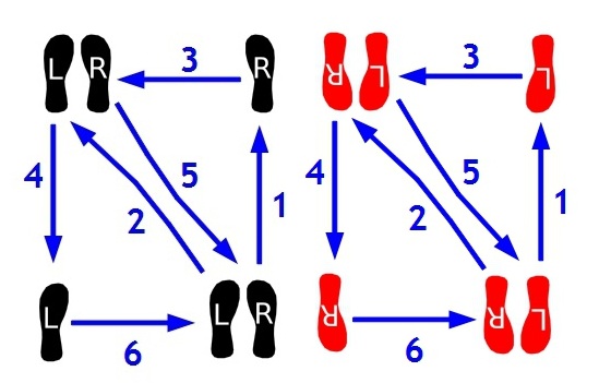 Standardtänze | Aufsatzsammlung | Sparkling Science | Wissenschaft im ...