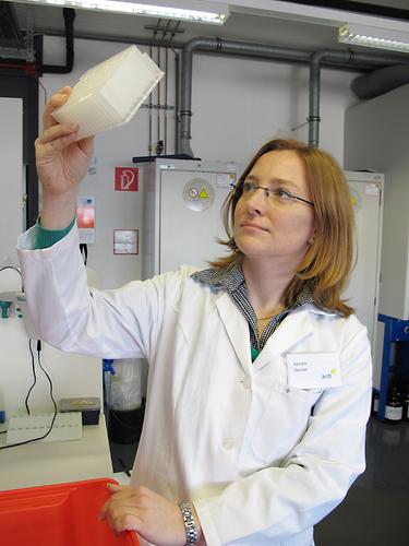 ACIB GmbH | Unternehmen im Austria-Forum