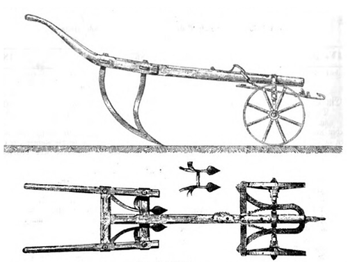 DIE ZUCKERRÜBE | Graupp Ingrid-Charlotte | User im Austria-Forum