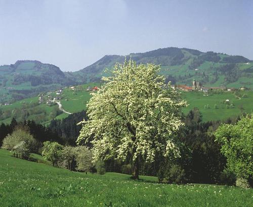 Maria Neustift | Oberösterreich | Bildlexikon Österreich | Bilder im ...