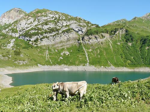 Formarinsee | Dalaas | Vorarlberg | Bilder im Austria-Forum