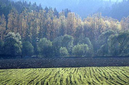 Fehring Landschaft | Fehring | Bildlexikon Steiermark | Bilder im ...