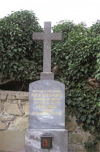 Agnes Alfons Gabriel | Vermischtes | Essays im Austria-Forum