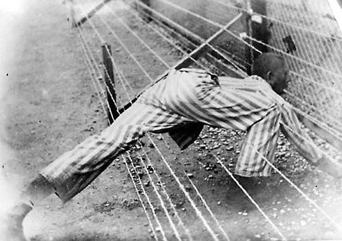 KZ-Opfer | Konzentrationslager | Kriegsende | Bilder im Austria-Forum