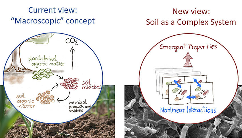 Das Labyrinth im Boden (Uni Wien) | Neues aus der Wissenschaft ...